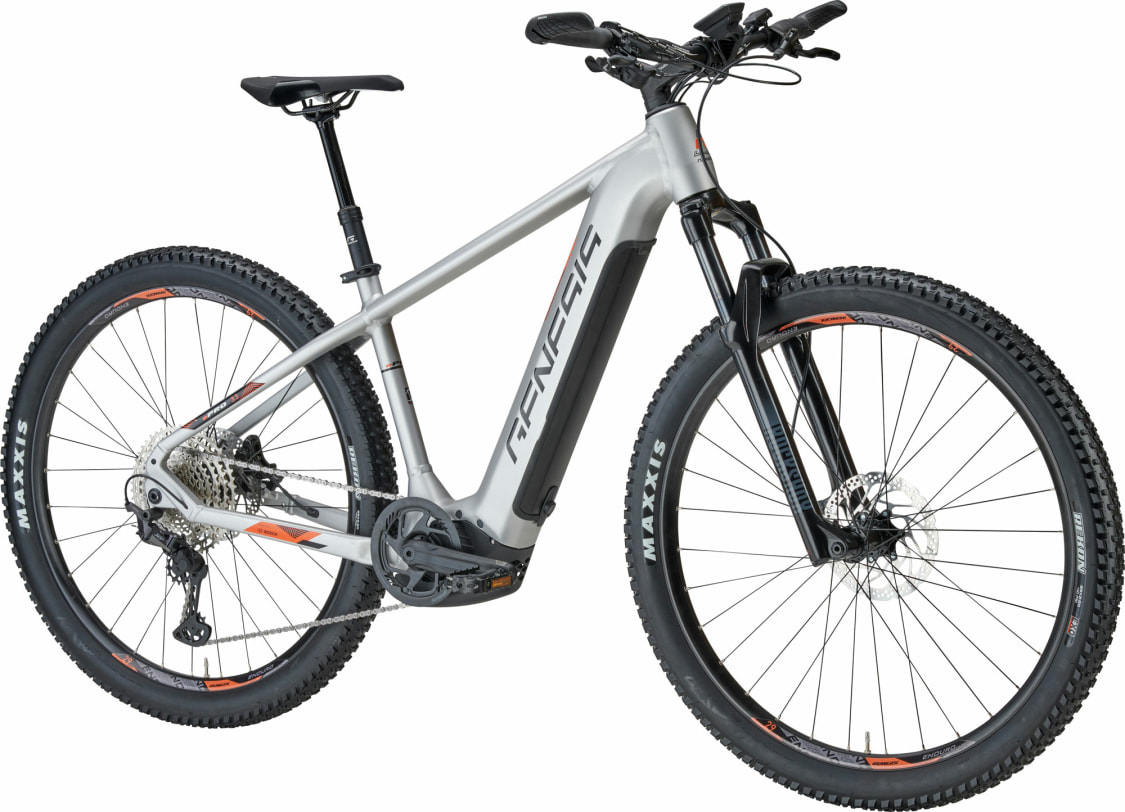 E-Pro MTB 3.3 E-Mountainbike 29" Genesis